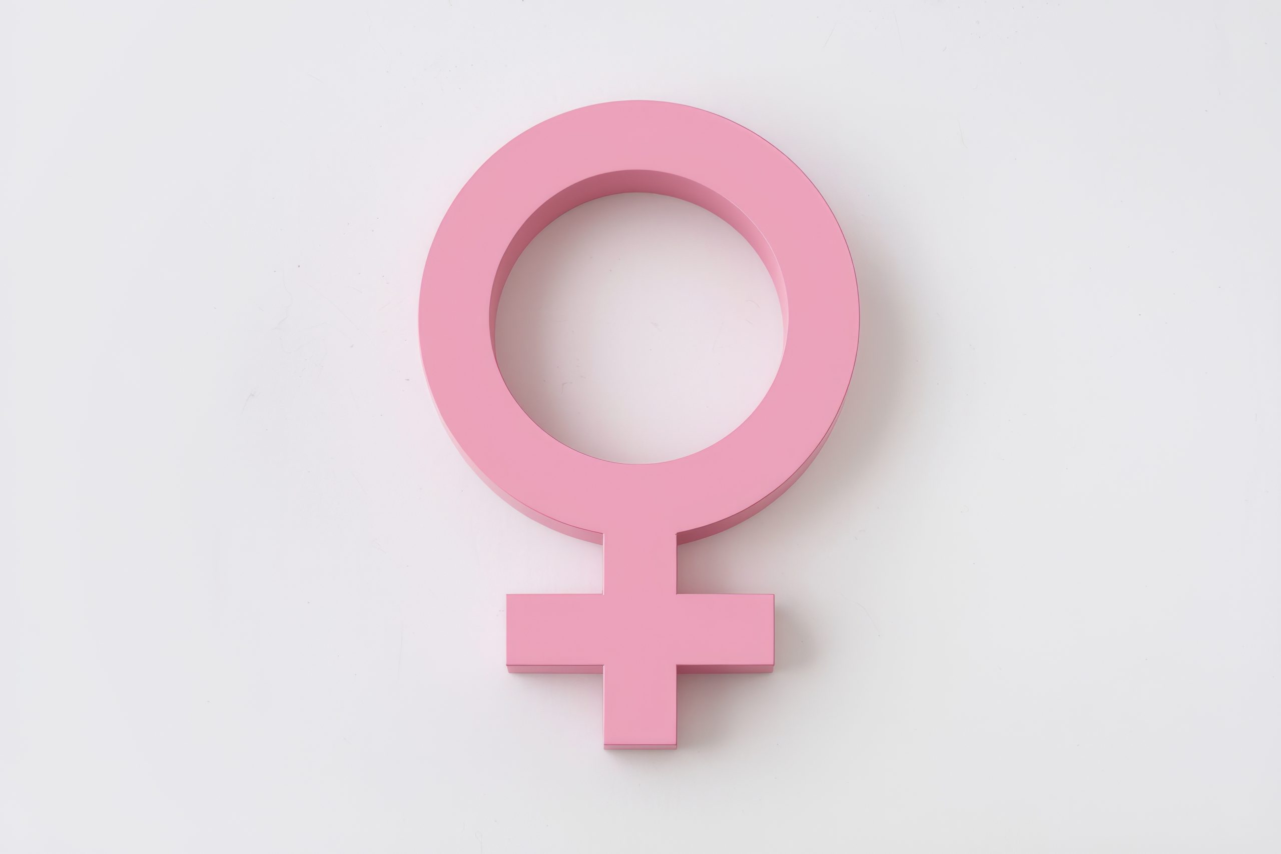 Gender principles briefing in congress - Rights & Security International